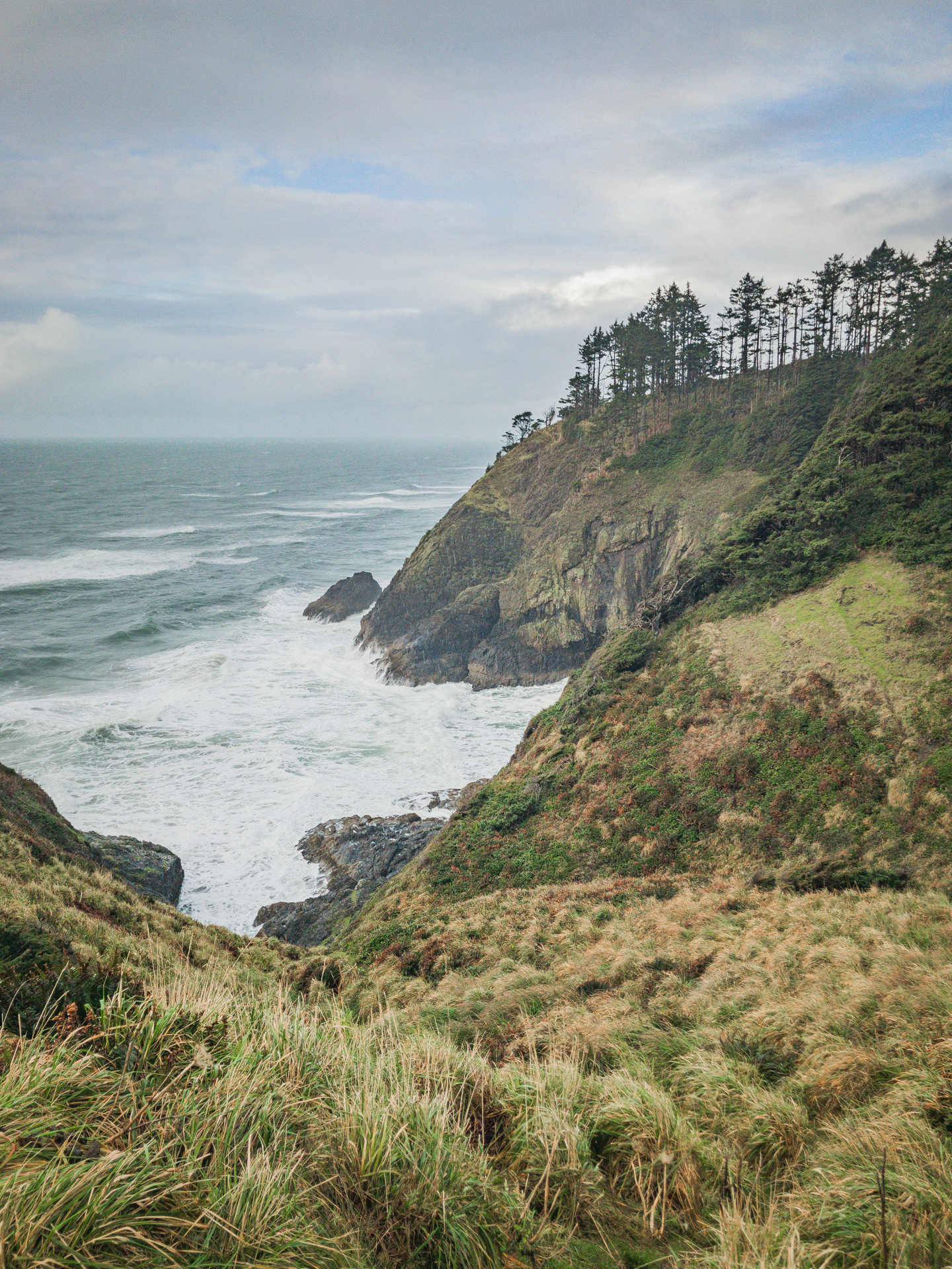 Cape Disappointment – crow.black